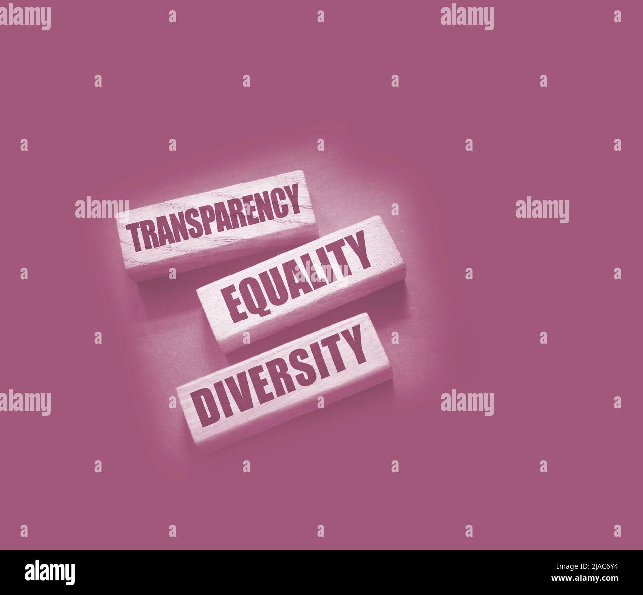 Transparency Equality diversity words on long wooden blocks on black ...
