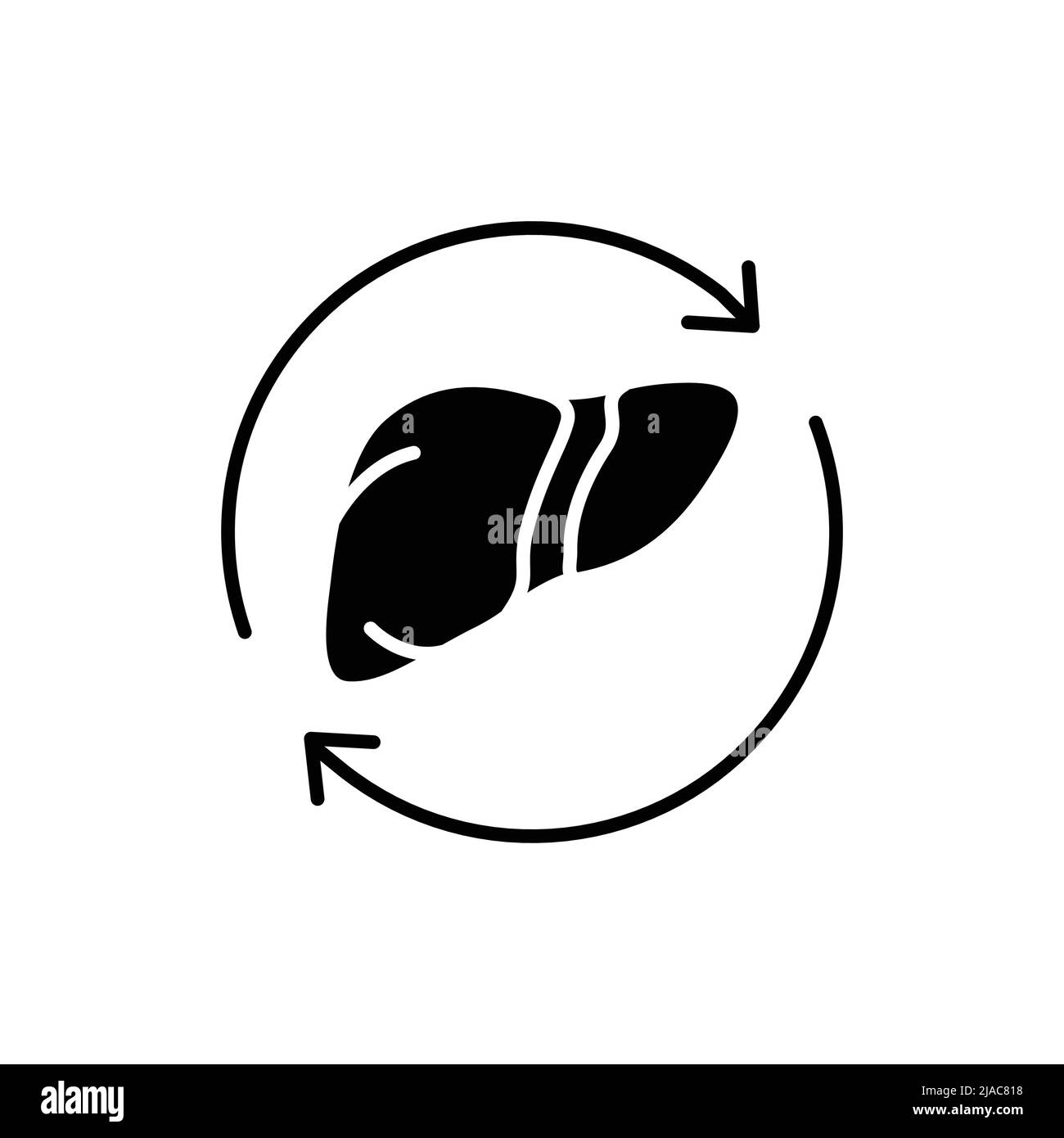 Liver drawing Black and White Stock Photos & Images - Alamy