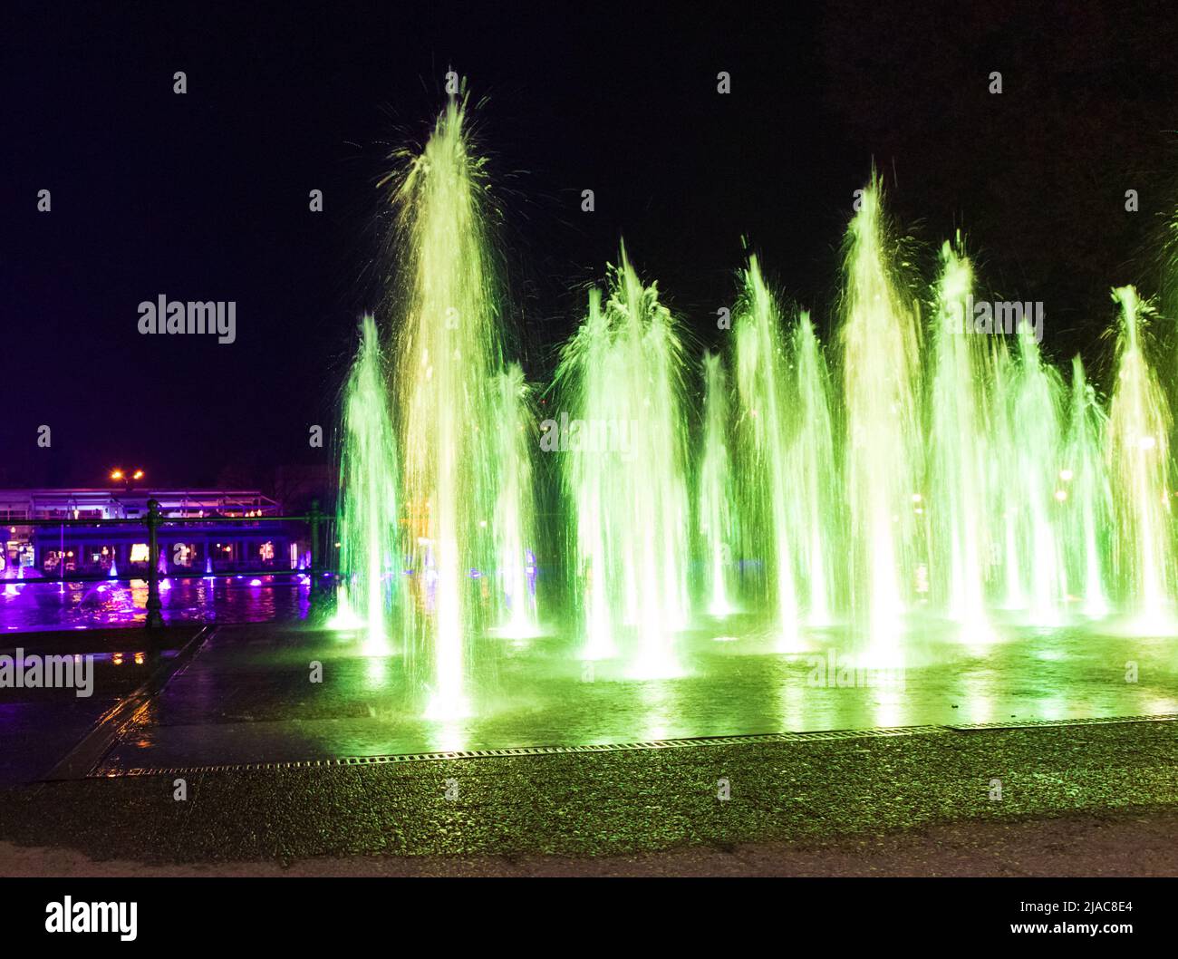 Plovdiv city park picturesque pink fountains at night,Plovdiv,Bulgaria ...