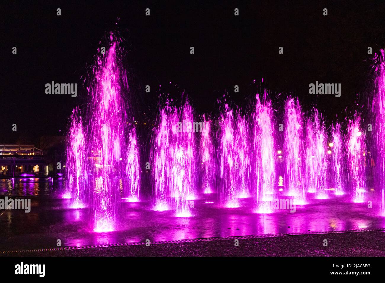 Plovdiv city park picturesque pink fountains at night,Plovdiv,Bulgaria ...