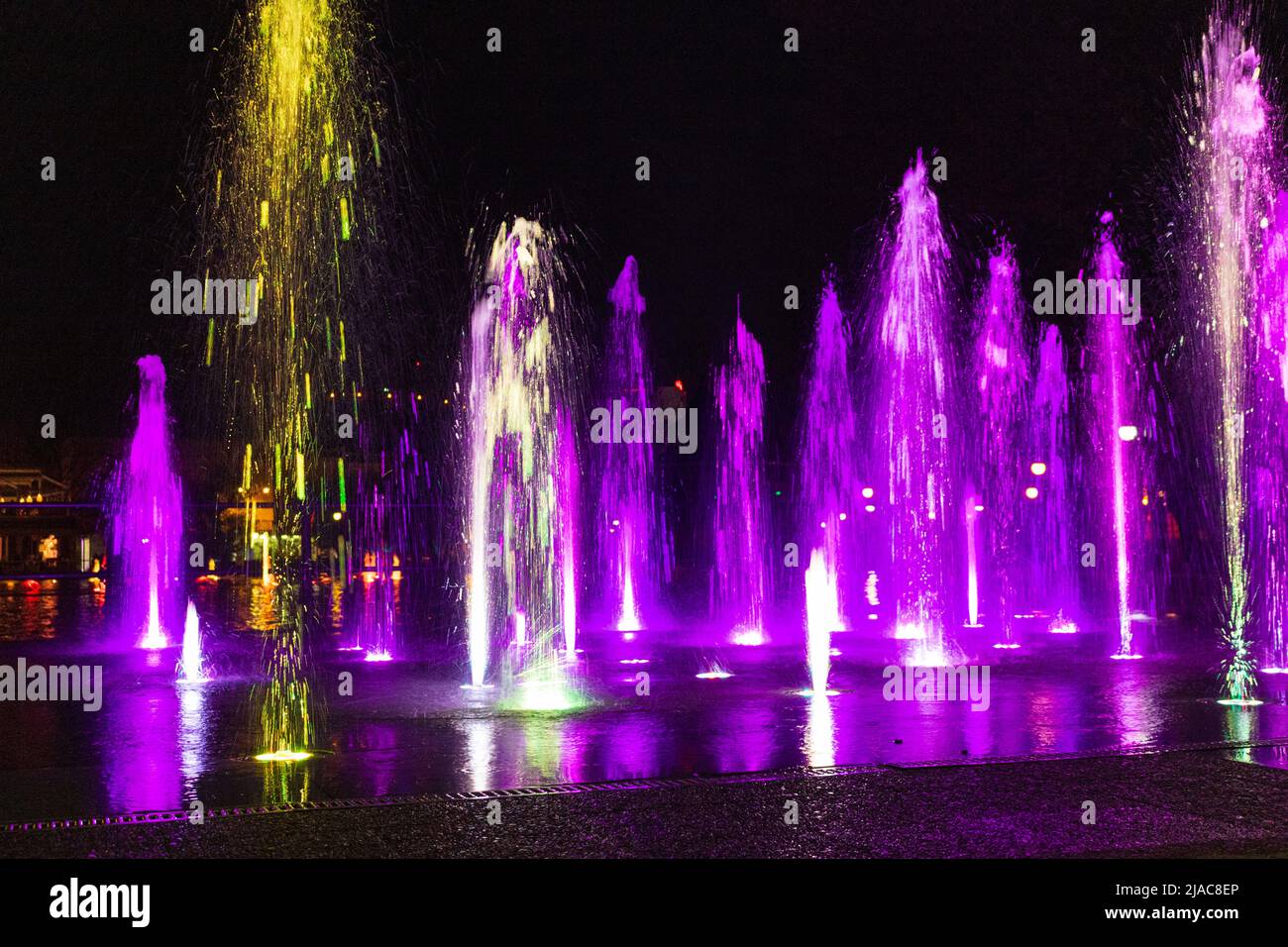 Plovdiv city park picturesque pink fountains at night,Plovdiv,Bulgaria ...