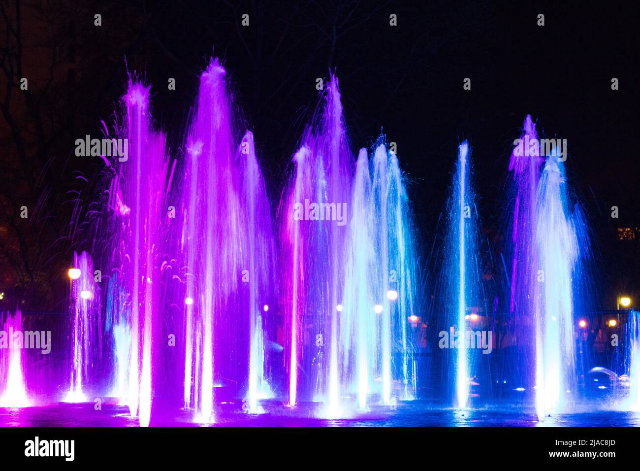 Plovdiv city park picturesque pink fountains at night,Plovdiv,Bulgaria ...