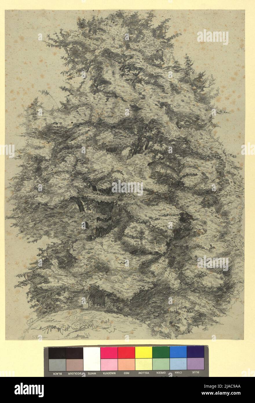 Tree study in the Prater. Tina Blau (1845-1916), artist Stock Photo - Alamy
