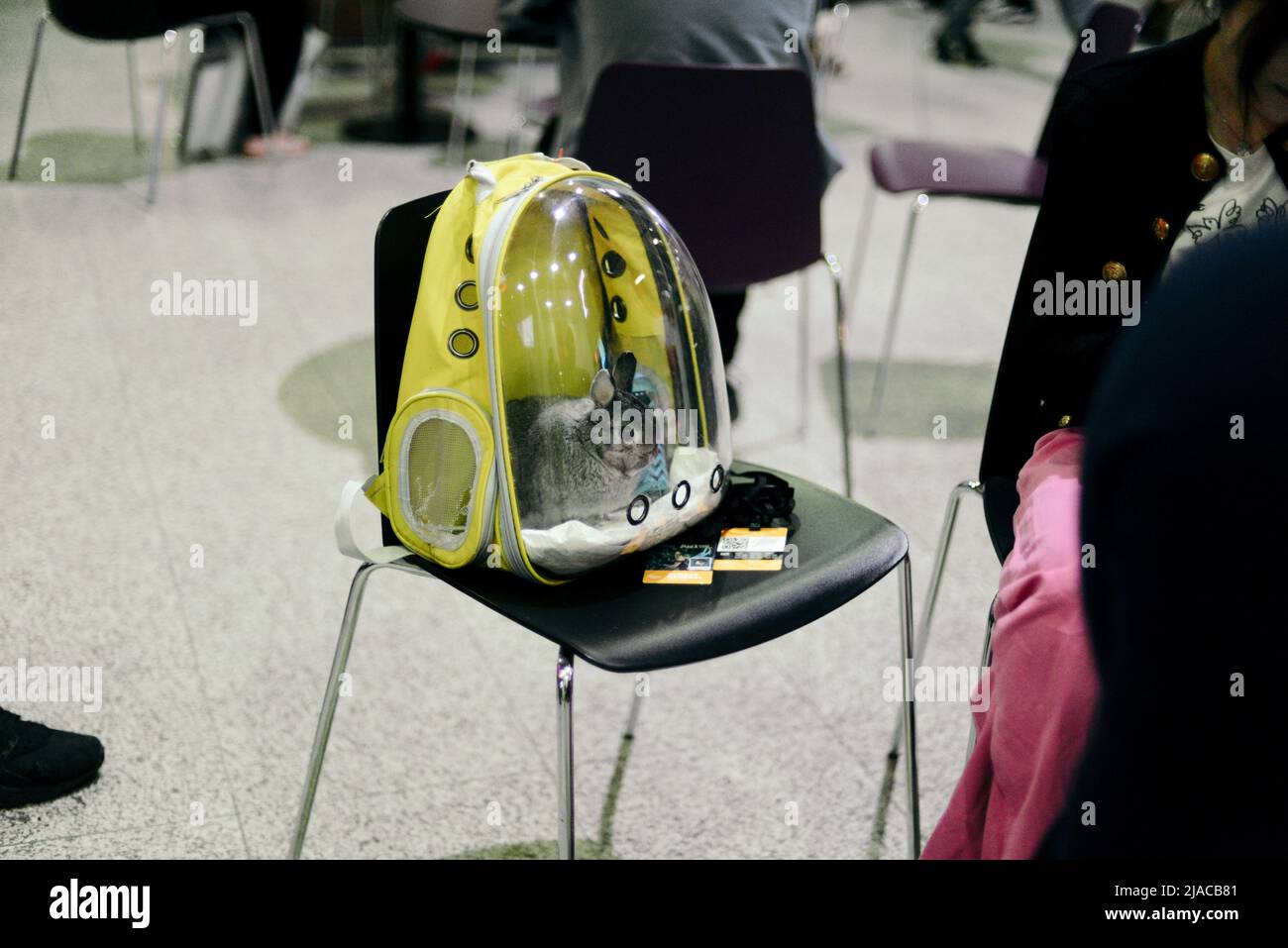 MCM London Comic Con, May 2022 Stock Photo - Alamy