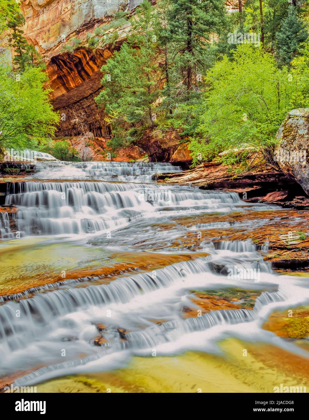 archangel cascades on left fork north creek along route to the subway ...