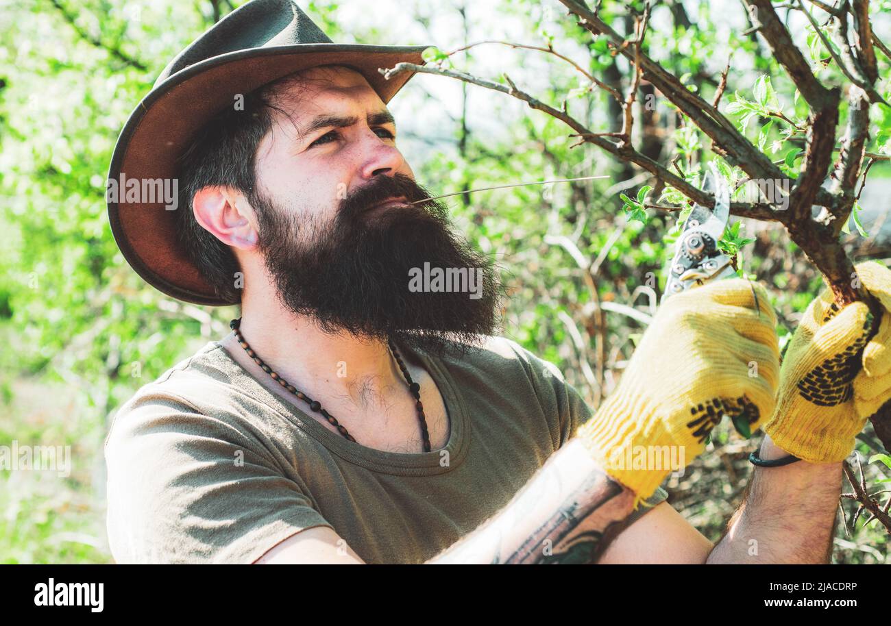 Farmer examining grafting branch in orchard. Farmar enjoy spring nature ...