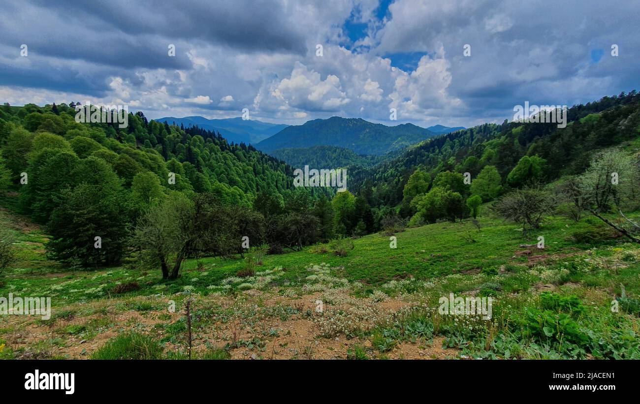 Mountains and forests Bolu Turkey Stock Photo - Alamy