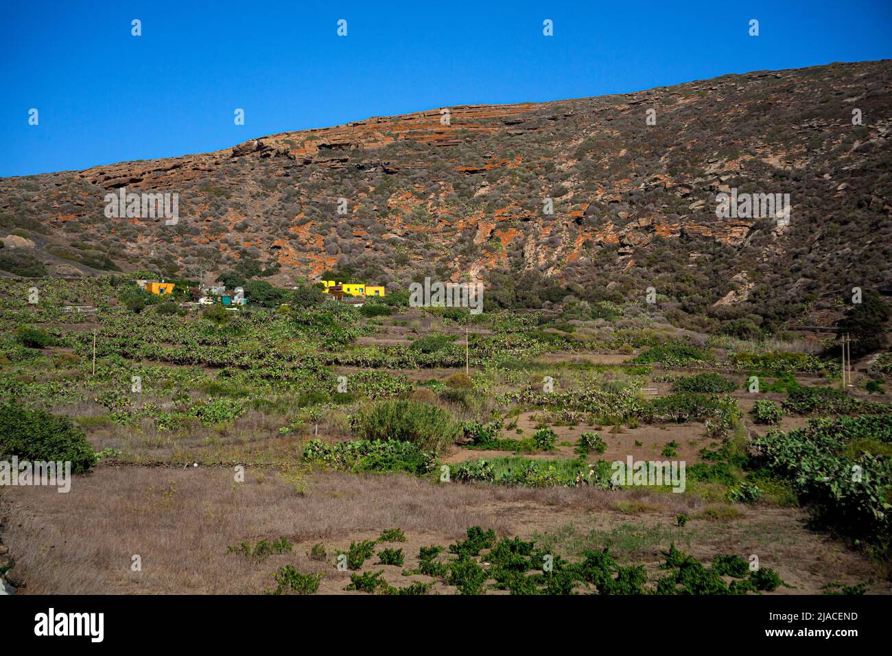 View of typical colorful houses of Linosa in the countryside, Sicily ...