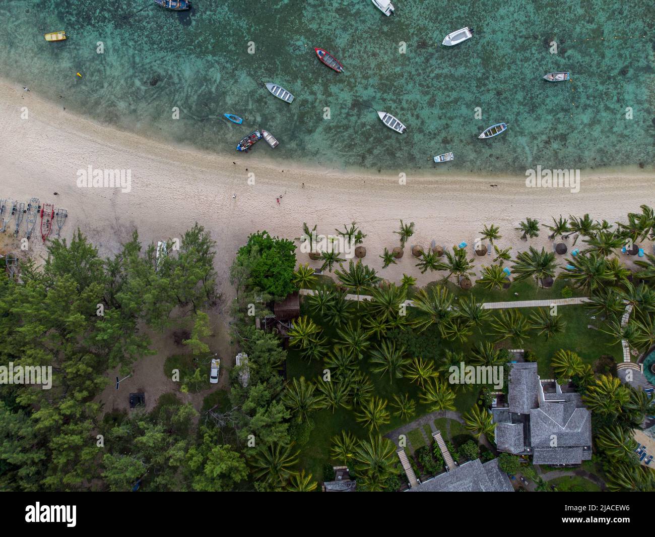 Photography tropical hi-res stock photography and images - Alamy