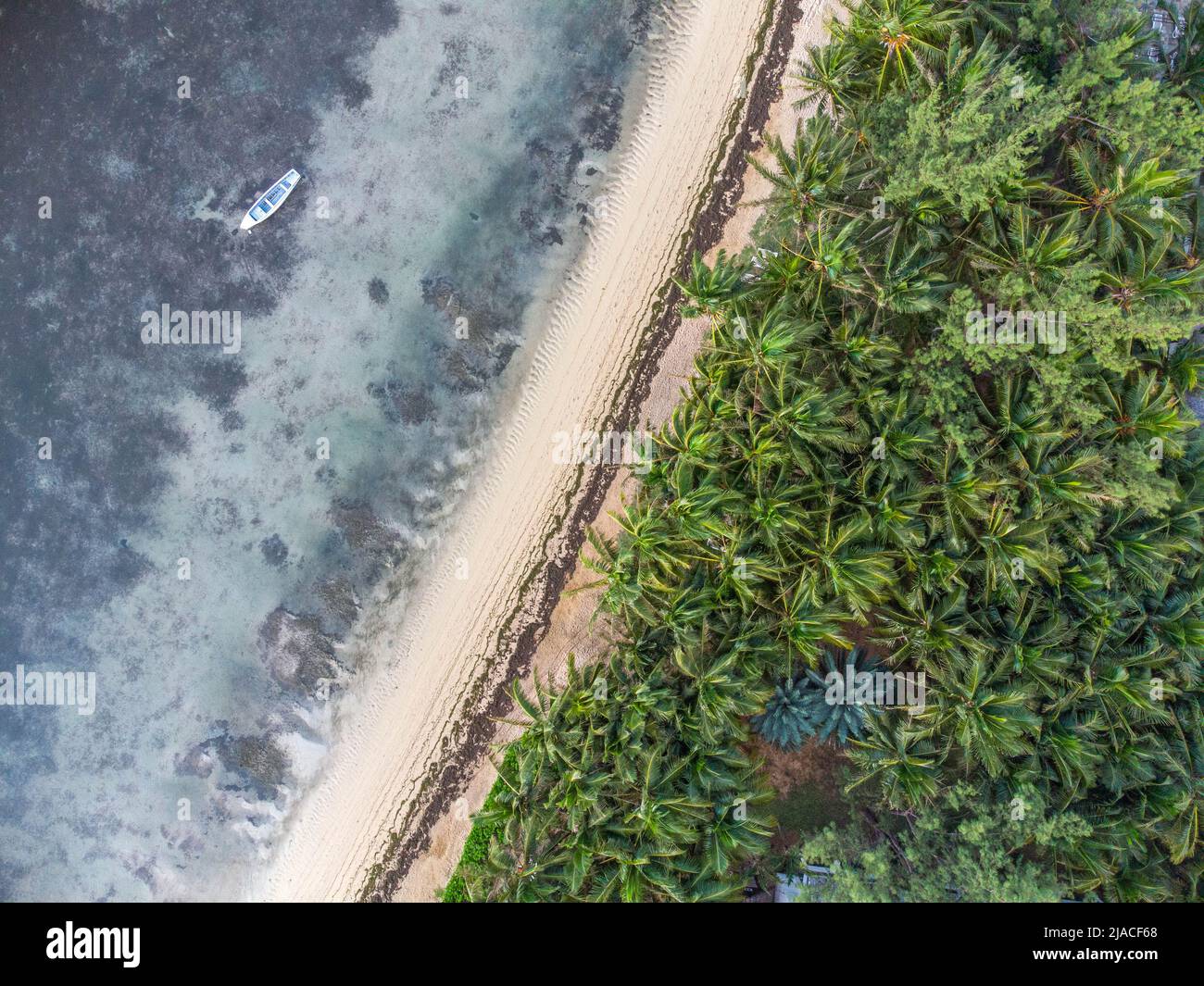 Wild tropical beach in Mauritius from above Stock Photo - Alamy