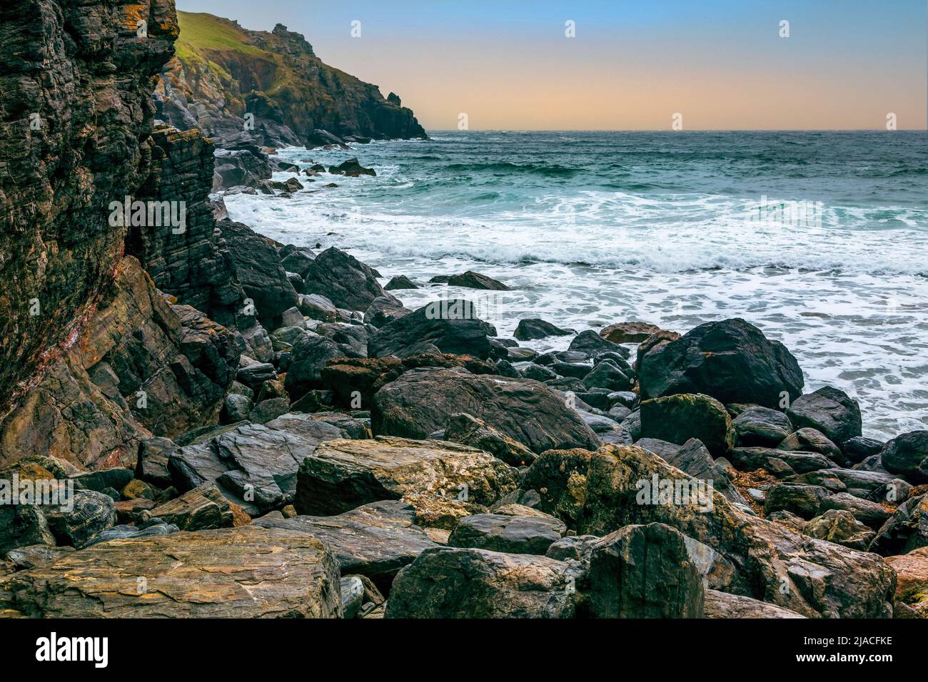 Rugged lizard hi-res stock photography and images - Alamy