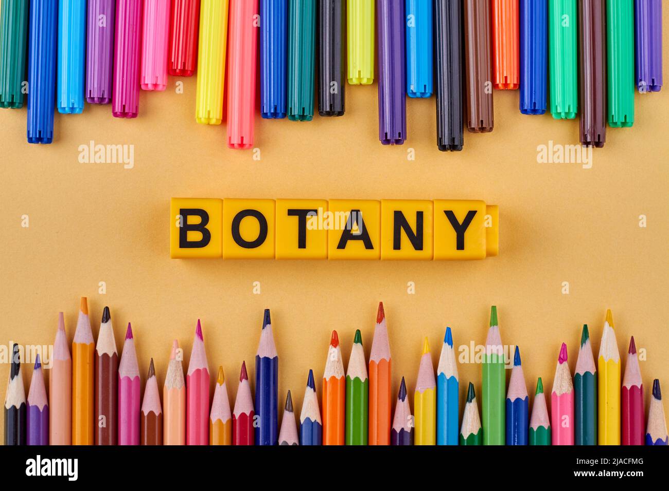 Botany word made from plastic cubes in frame from colored pencils and ...