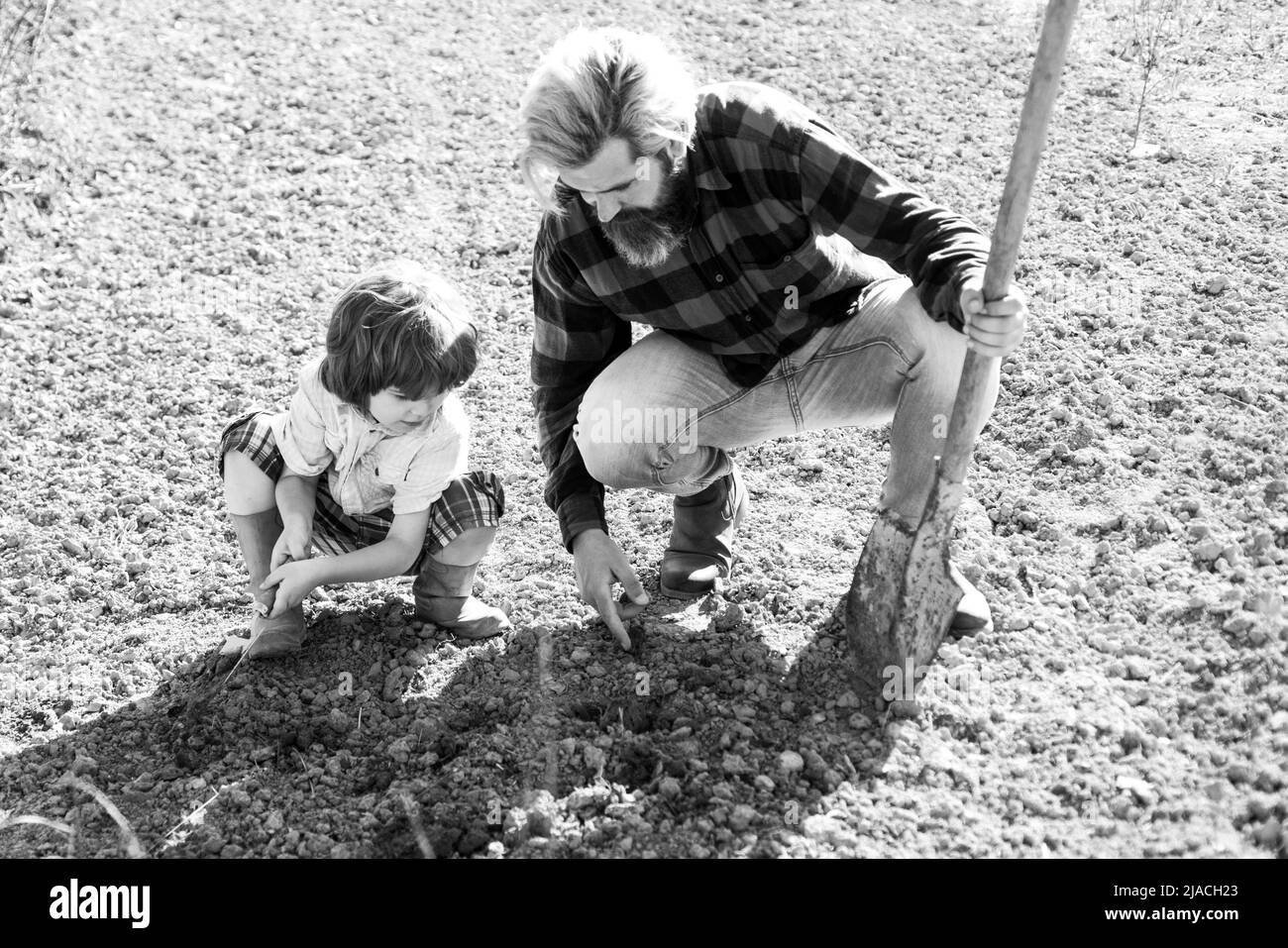 Father seeding plants with son. Dad helping kid gardening in garden ...