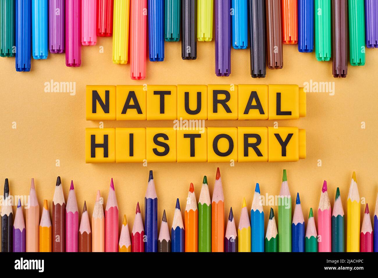 Lesson of natural history hi-res stock photography and images - Alamy
