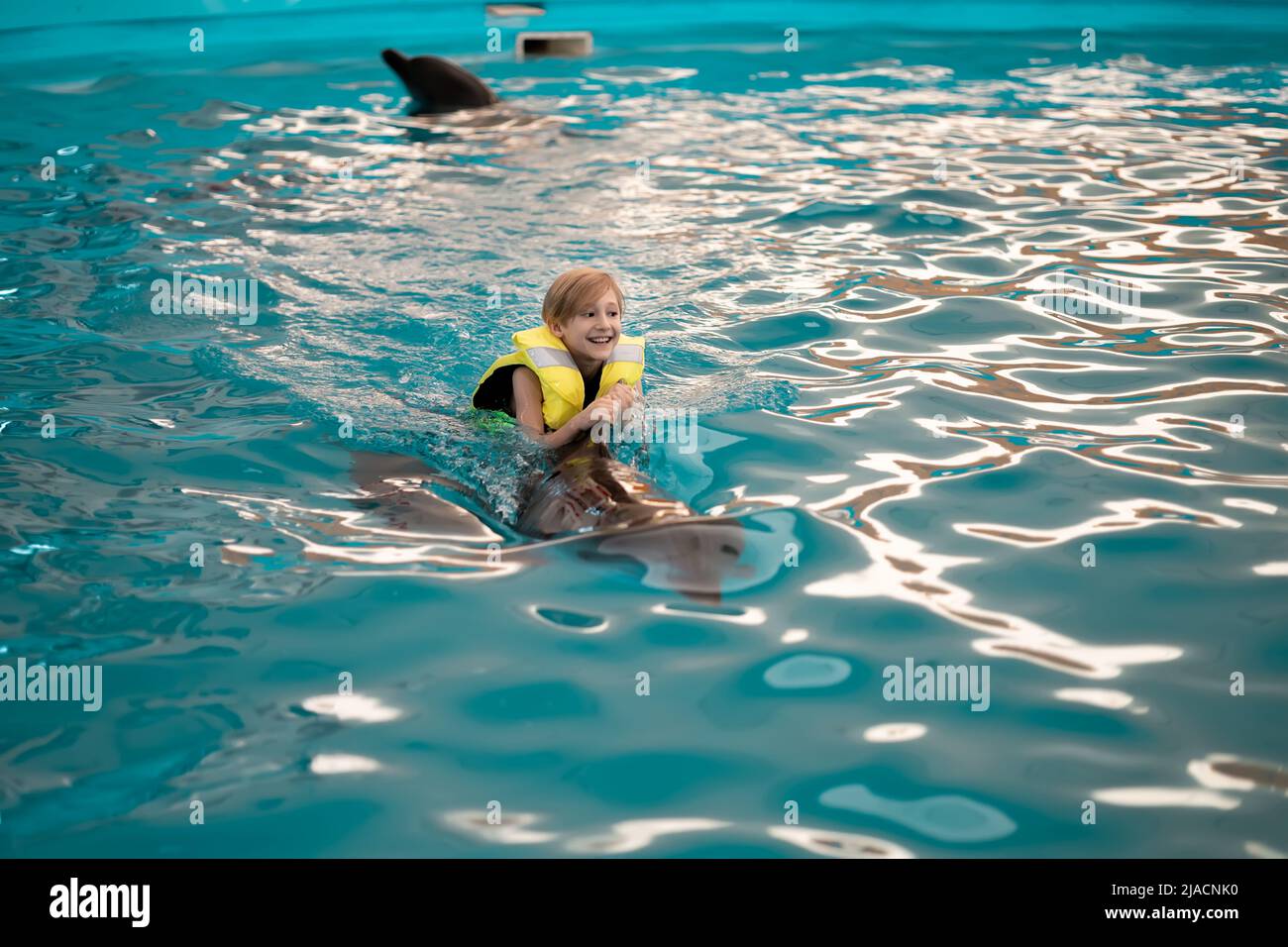 a boy rides a dolphin and holds on to the fin and laughs with pleasure ...