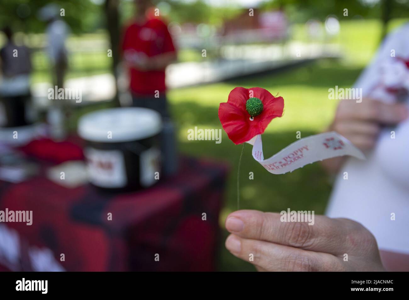 Washington, United States. 29th May, 2022. People visit The Poppy Wall ...