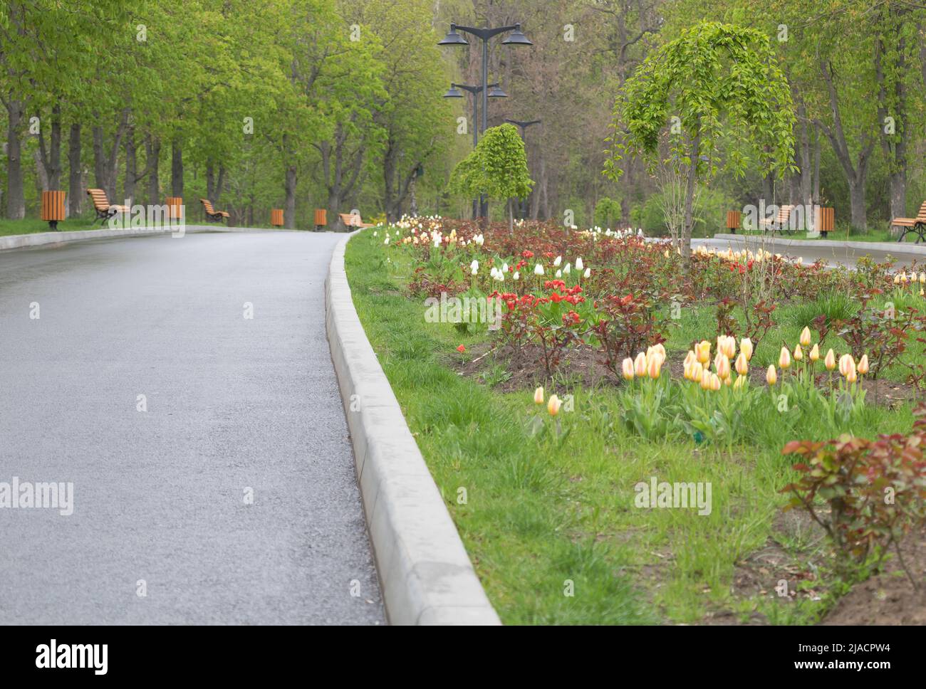 A beautiful Park with flowers like tulips next to the sidewalk Stock ...