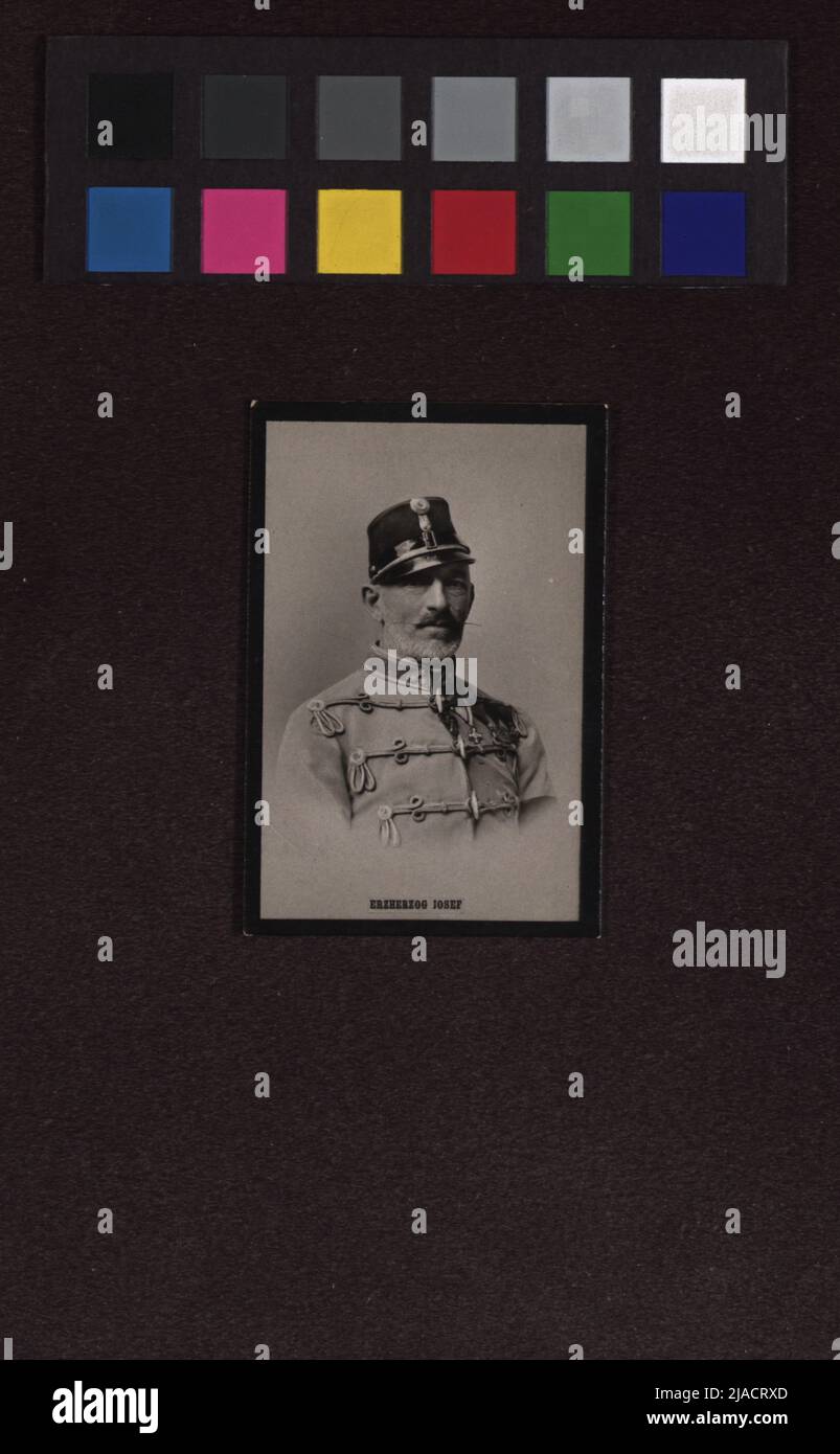 Archduke Josef Ferdinand (1872-1942). Unknown, photographer Stock Photo ...