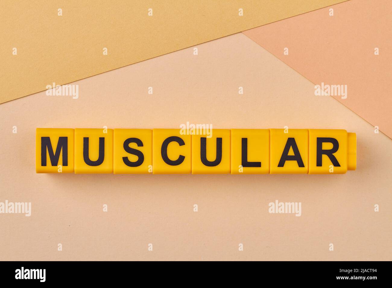 Inscription muscular written on yellow blocks against color background ...