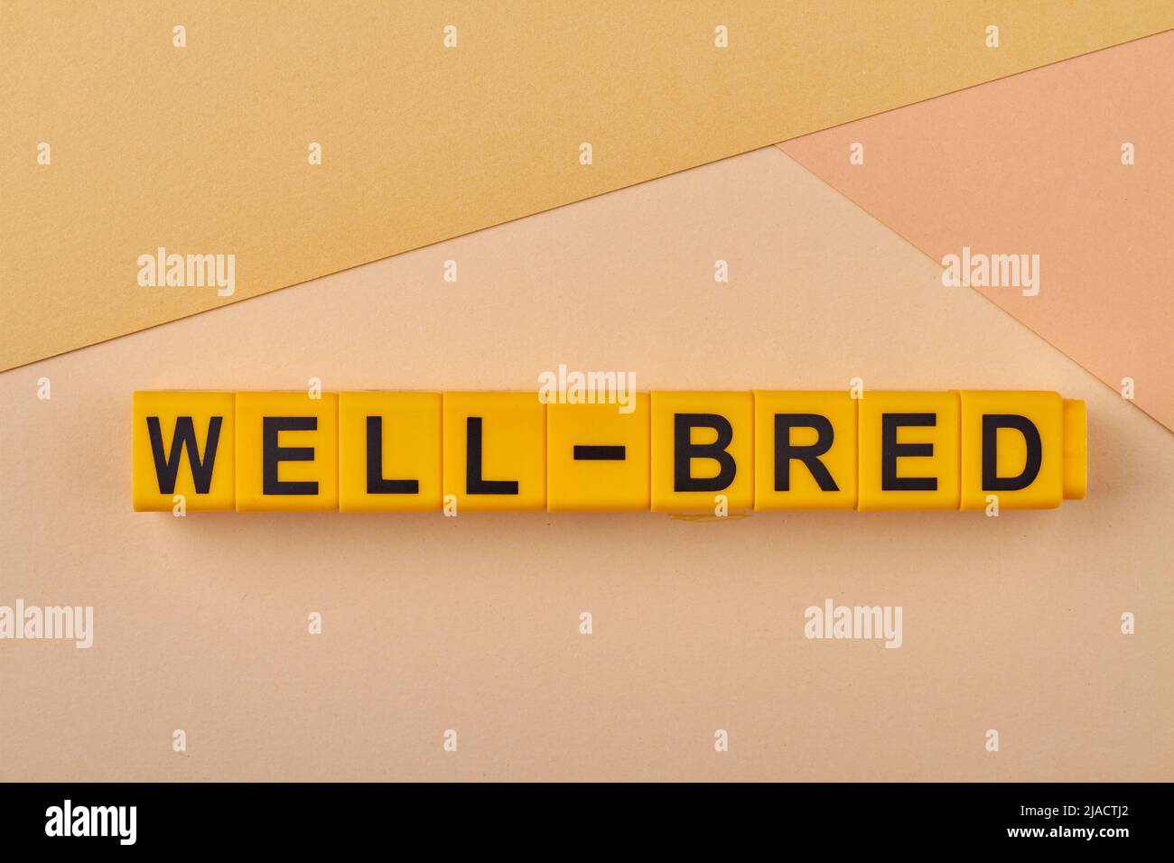 The inscription well-bred written on yellow cubes against light ...