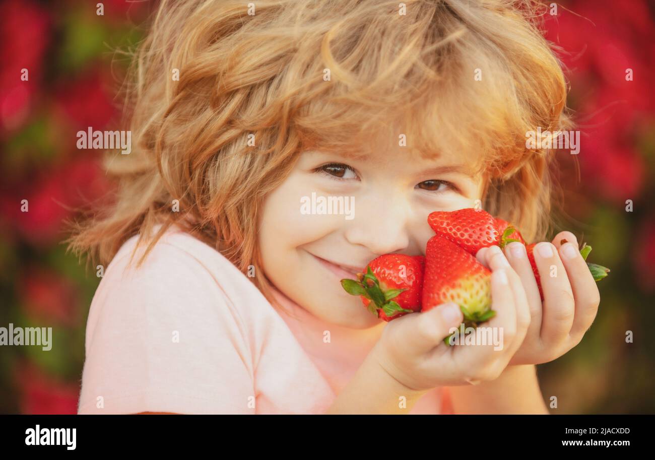 Healthy kids food. Adorable kid eating strawberry Stock Photo - Alamy