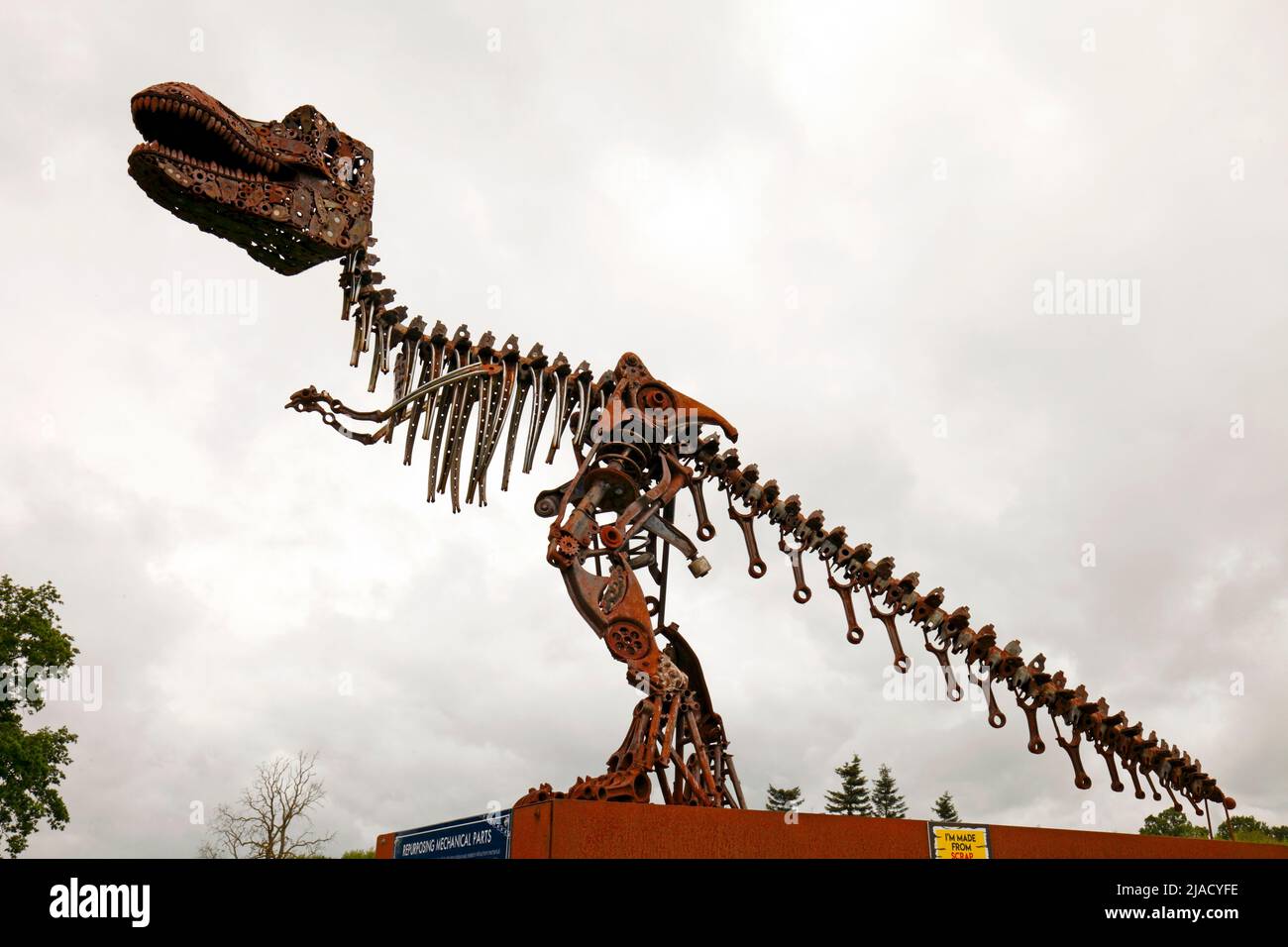 Tyrannosaurus rex or T-Rex made from scrap metal car parts at the ...
