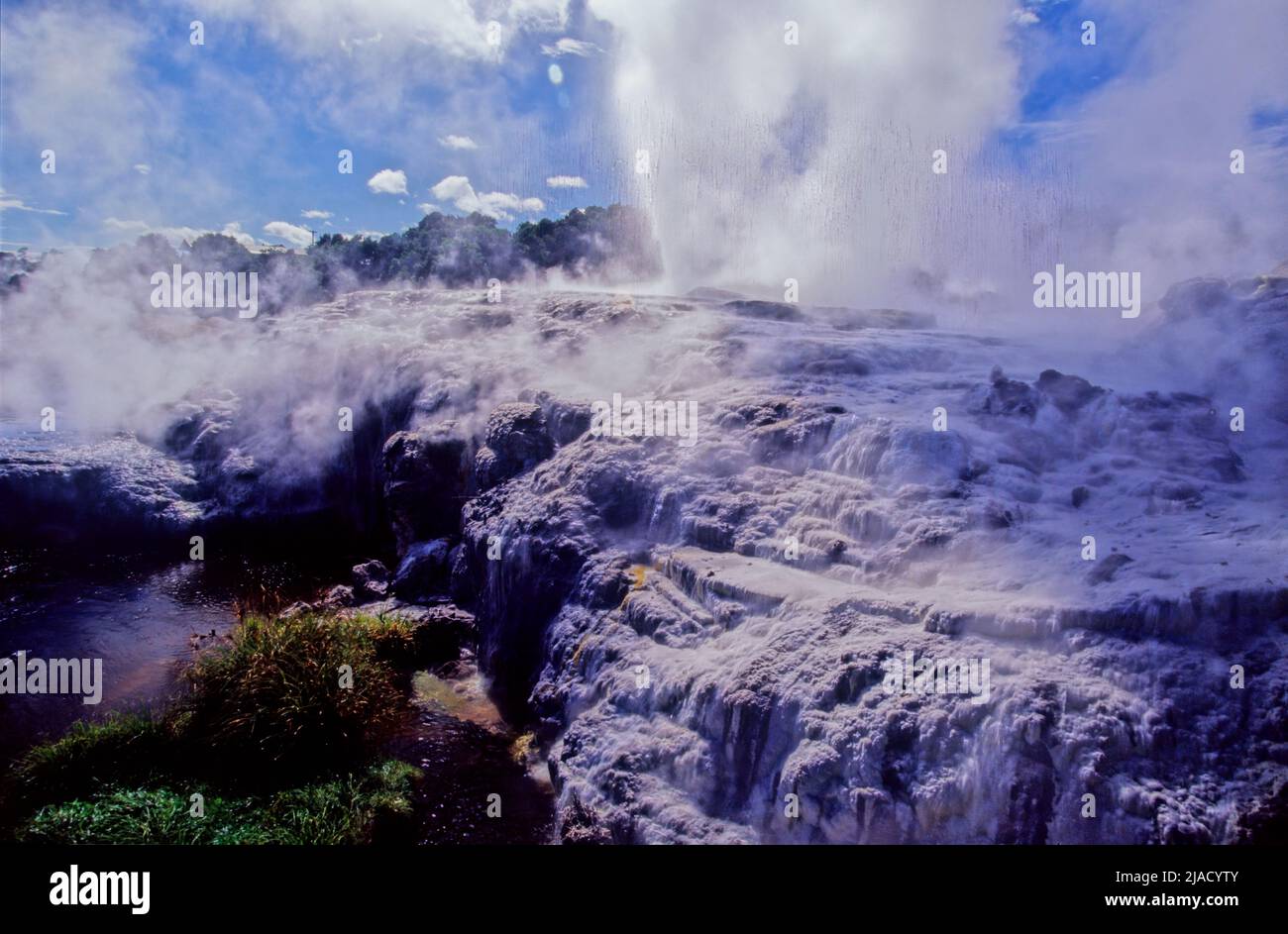 Pohutu Geyser is a geyser in the Whakarewarewa Thermal Valley, Rotorua ...