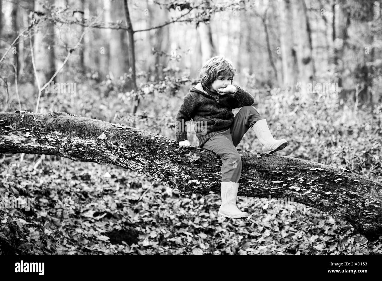 Kid in autumn forest. Child playing in Fall Leaves outdoor. Childhood ...