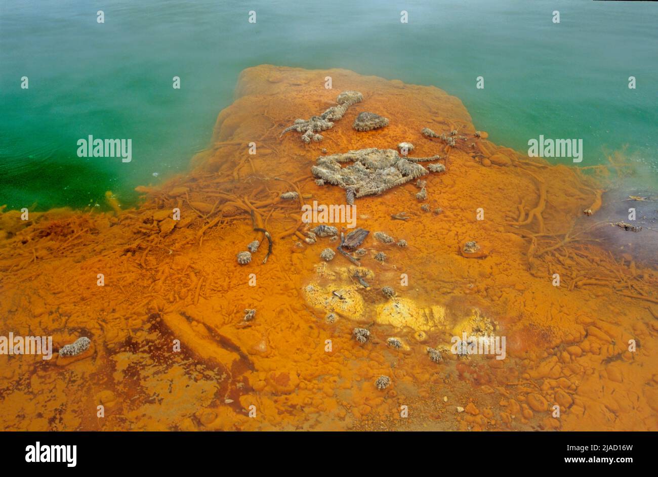 Waiotapu (Māori for "sacred waters") is an active geothermal area at ...