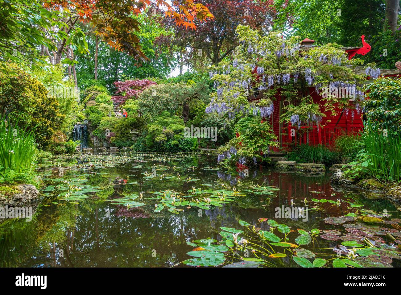 Japanese Garden,Compton Acres,Poole,Dorset,England Stock Photo - Alamy