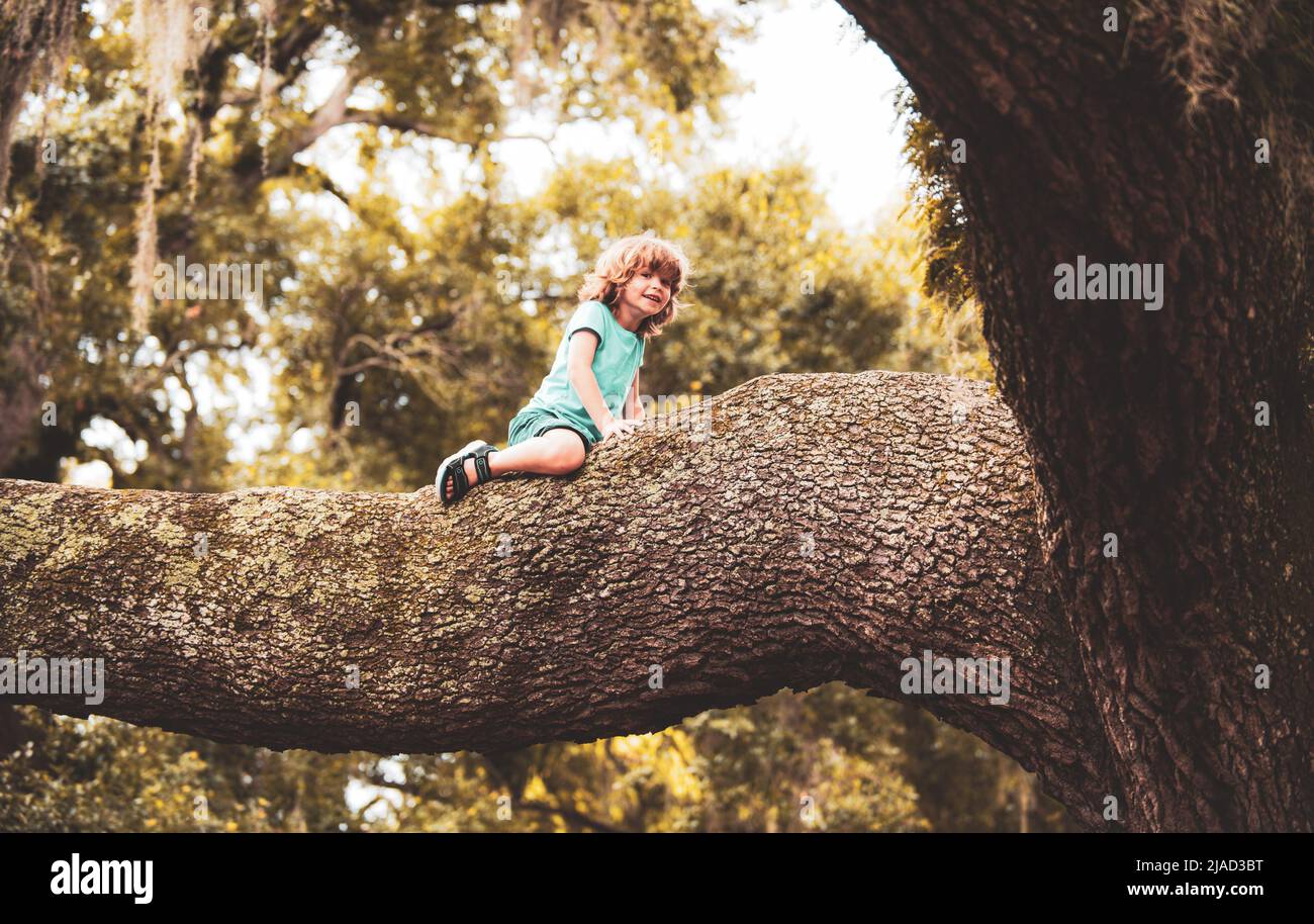 Little cute boy kid climbing on tree hight outdoor child lifestyle ...