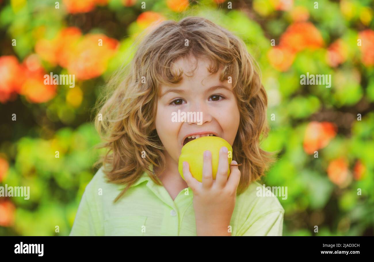 Little cute child eating green apple. Portrait of kid eating and biting ...