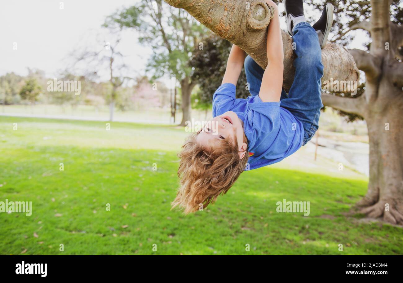 Little funny kid climbing tree in the park Stock Photo - Alamy