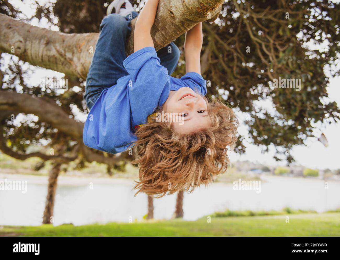 Little kid on a tree branch. Baby boy climbs a tree Stock Photo - Alamy