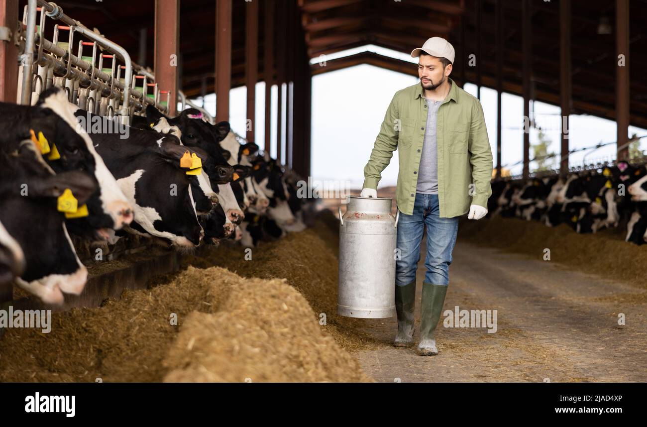 Focused man farmer carrying big milk can Stock Photo - Alamy