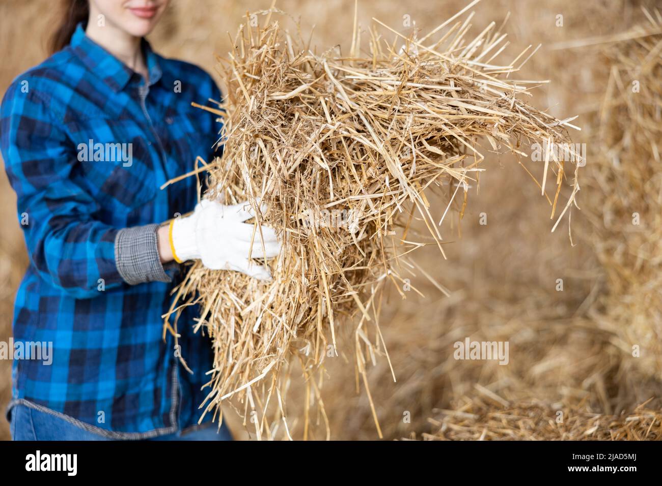 Woman farmer holding bunch of hay Stock Photo - Alamy