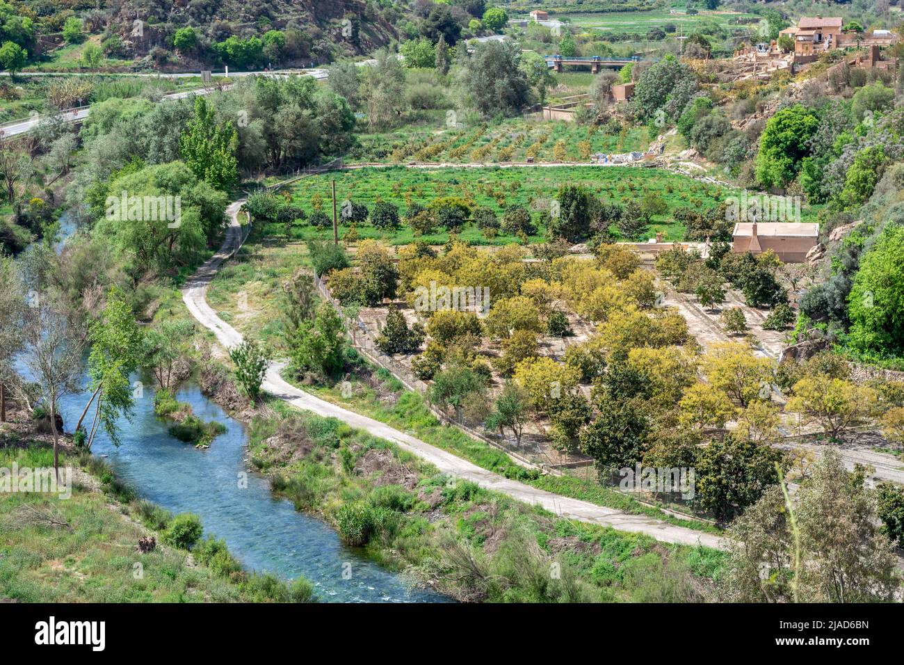 View of the Guadalfeo river between plantations of tropical fruit trees ...