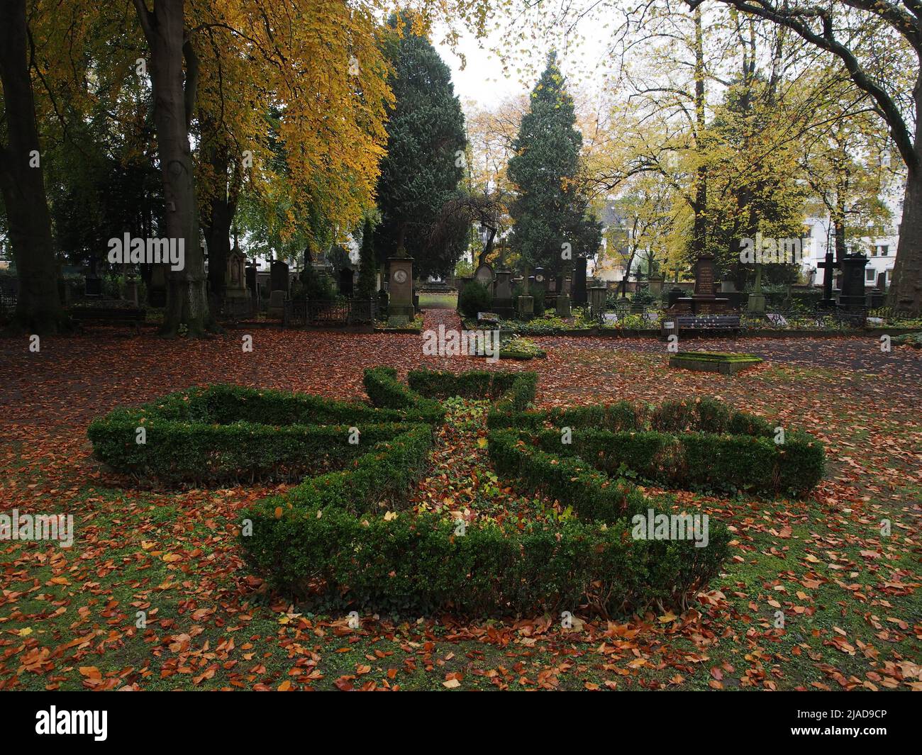 in the old cemetery of Bonn Stock Photo - Alamy