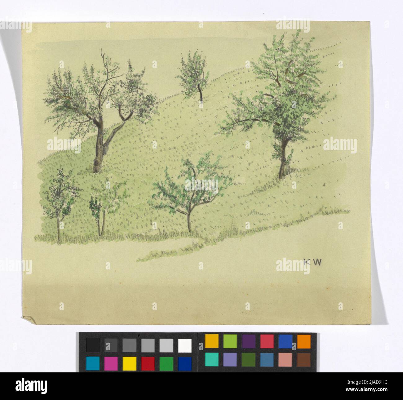 Without title (deciduous trees on hills). Karl Wiener (1901-1949 ...