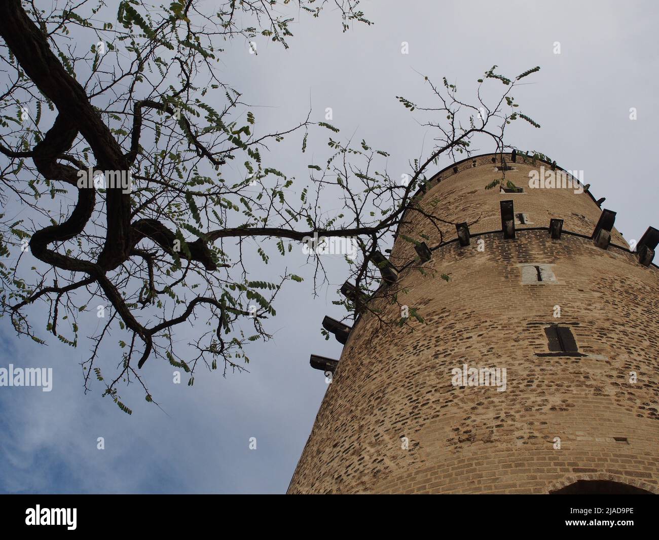 Godesburg castle hi-res stock photography and images - Alamy
