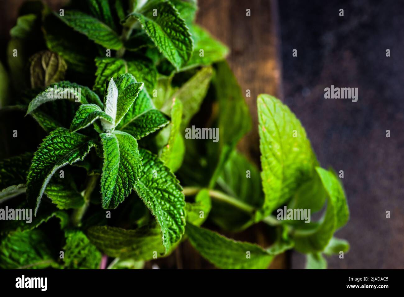 Overhead view of a bunch of fresh mint on a chopping board Stock Photo ...