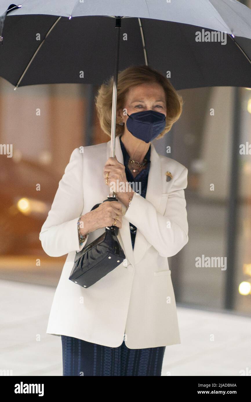 Queen Sofia of Spain attends a concert at the Reina Sofia Museum on ...