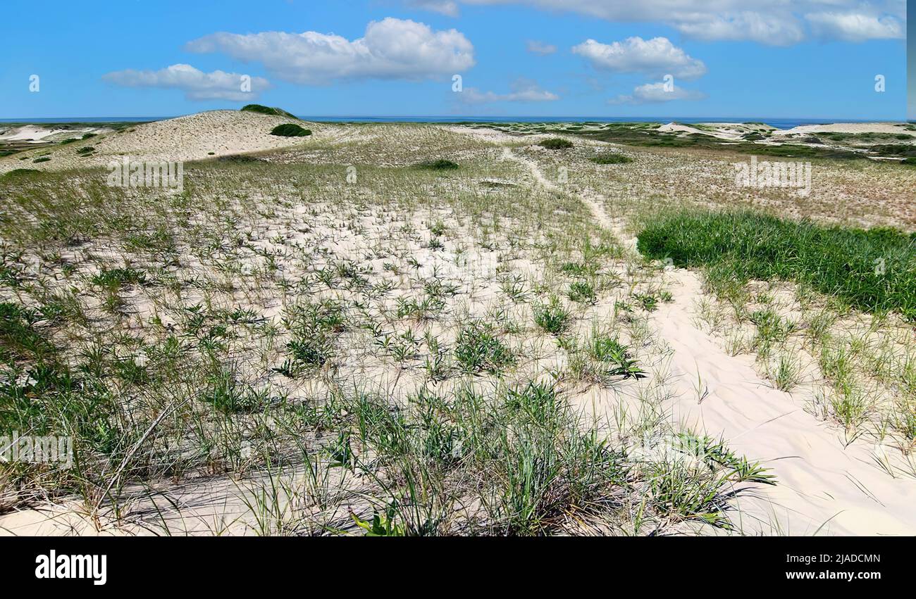 Cape Cod National Seashore Dunes and Sea at Provincetown, Cape Cod ...