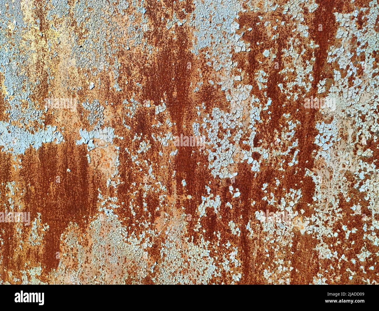 Corroded metal background. Rusted white painted metal wall. Rusty metal ...