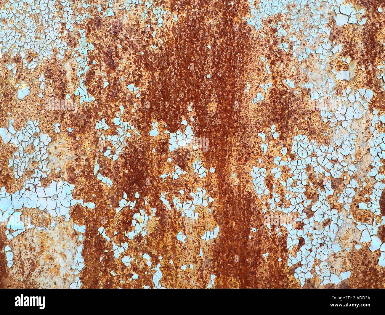 Corroded metal background. Rusted white painted metal wall. Rusty metal ...