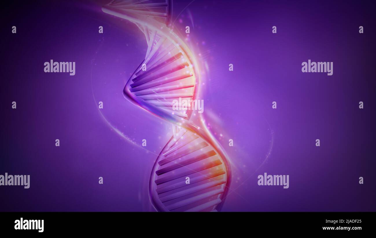 Double-stranded helix DNA model on violet background, 3D render Stock ...