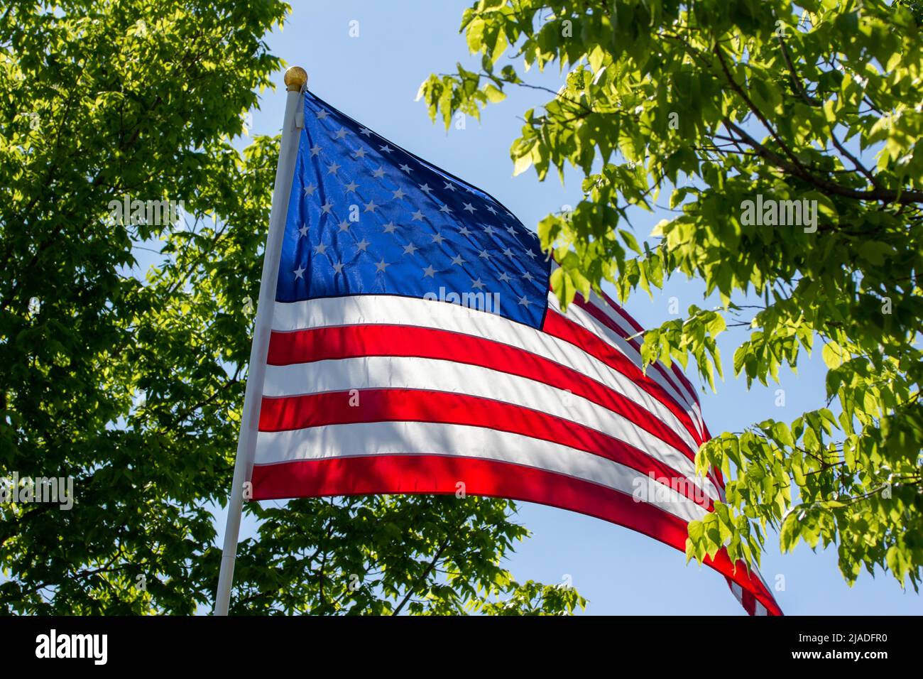 Close up view of an outdoor American flag in a light breeze, with trees ...
