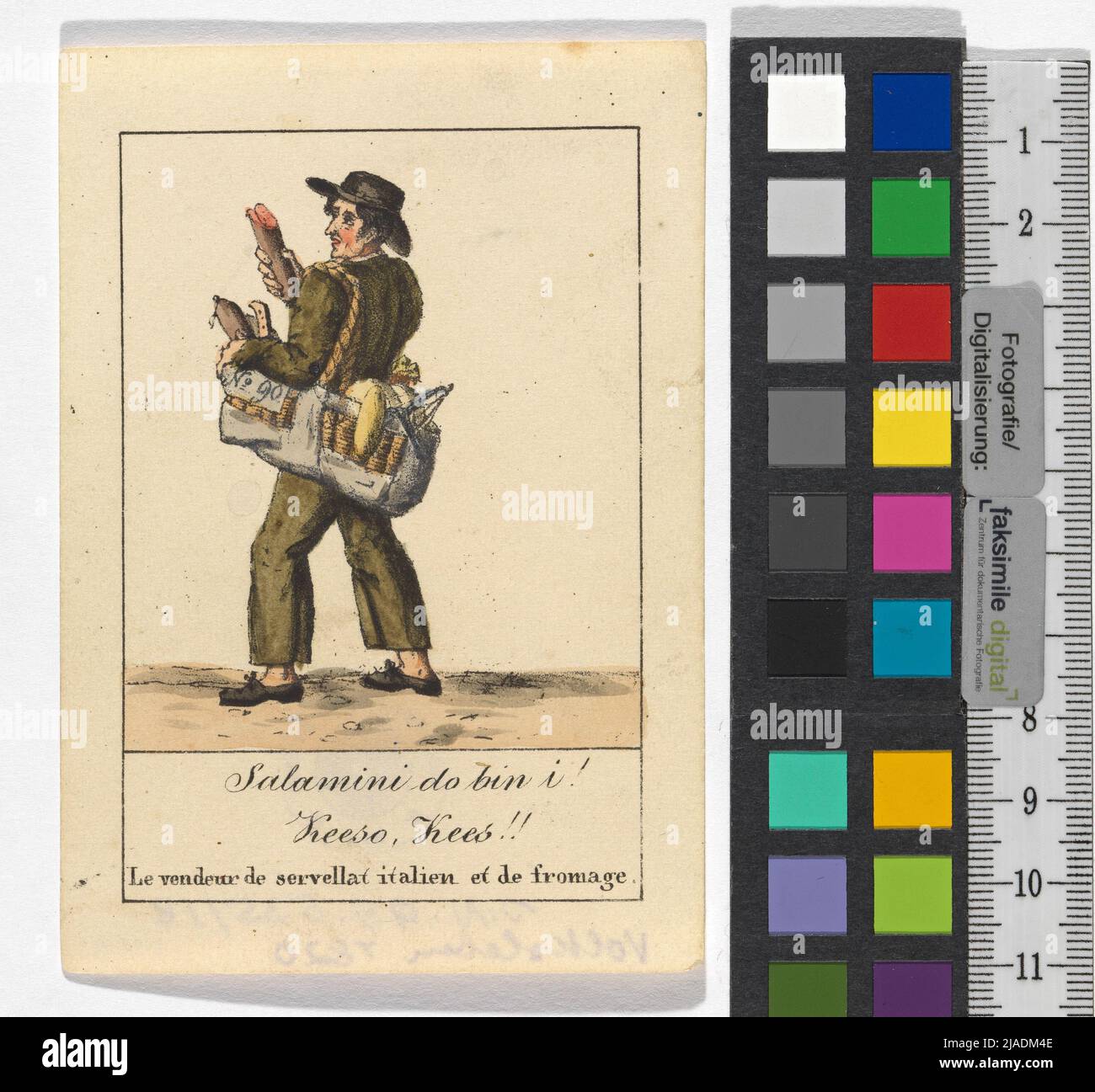 Bindii hi-res stock photography and images - Alamy