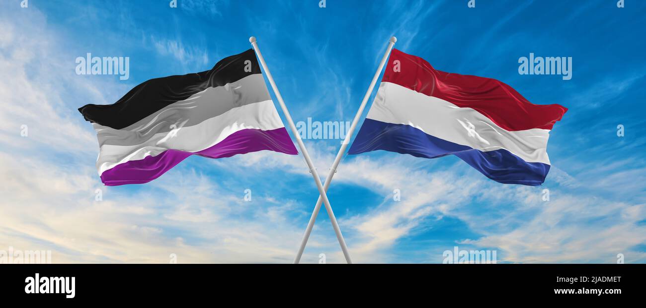 two crossed flags asexuality Pride and Netherland waving in wind at ...