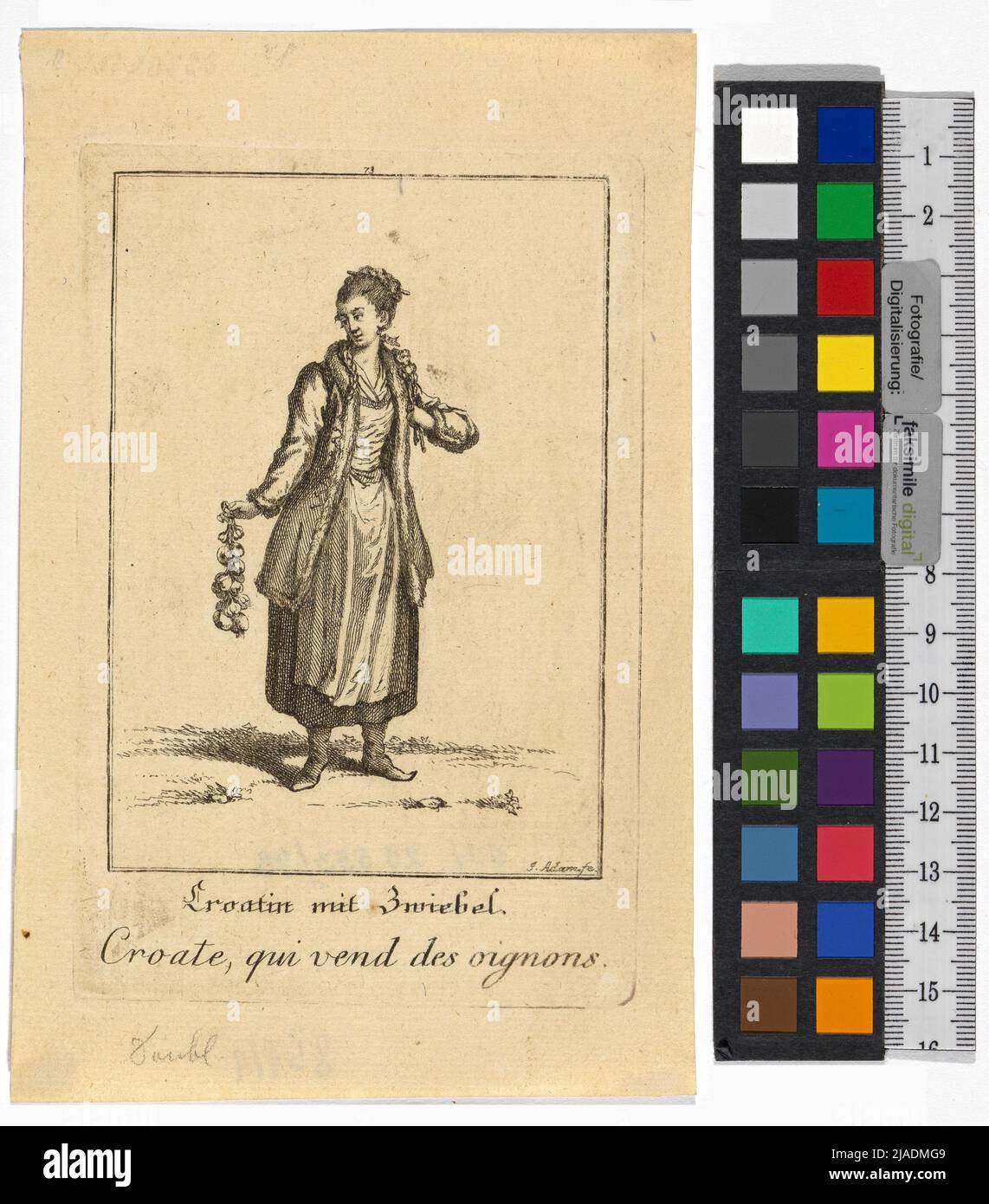 Non daily Cut Out Stock Images & Pictures - Alamy